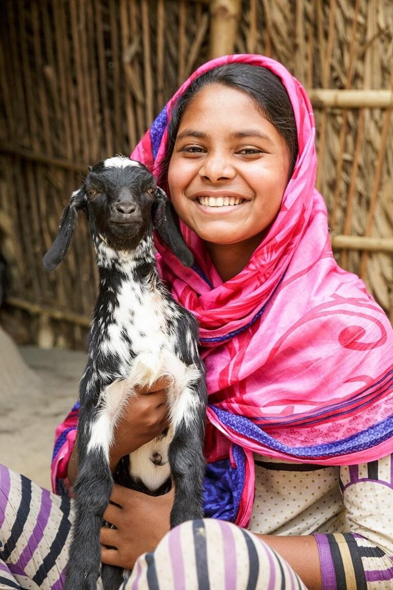 Heifer: The Perfect Holiday Present - Single Girl and The City